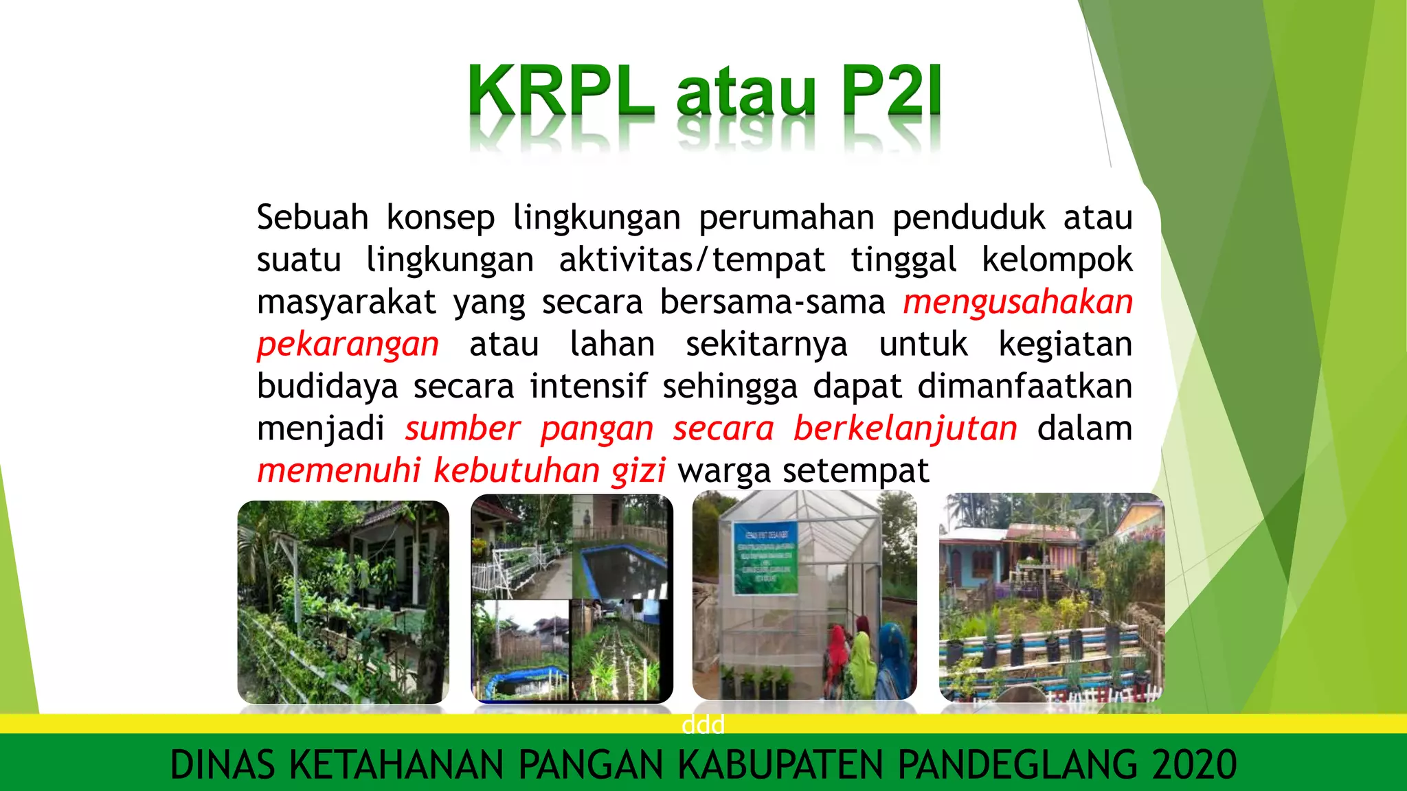 bahan materi p2l.pptx