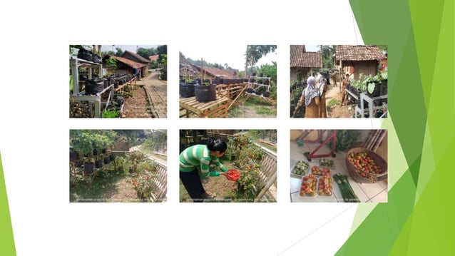 bahan materi p2l.pptx