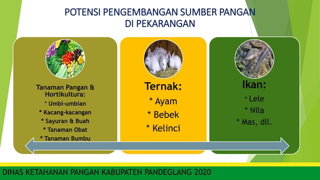 bahan materi p2l.pptx