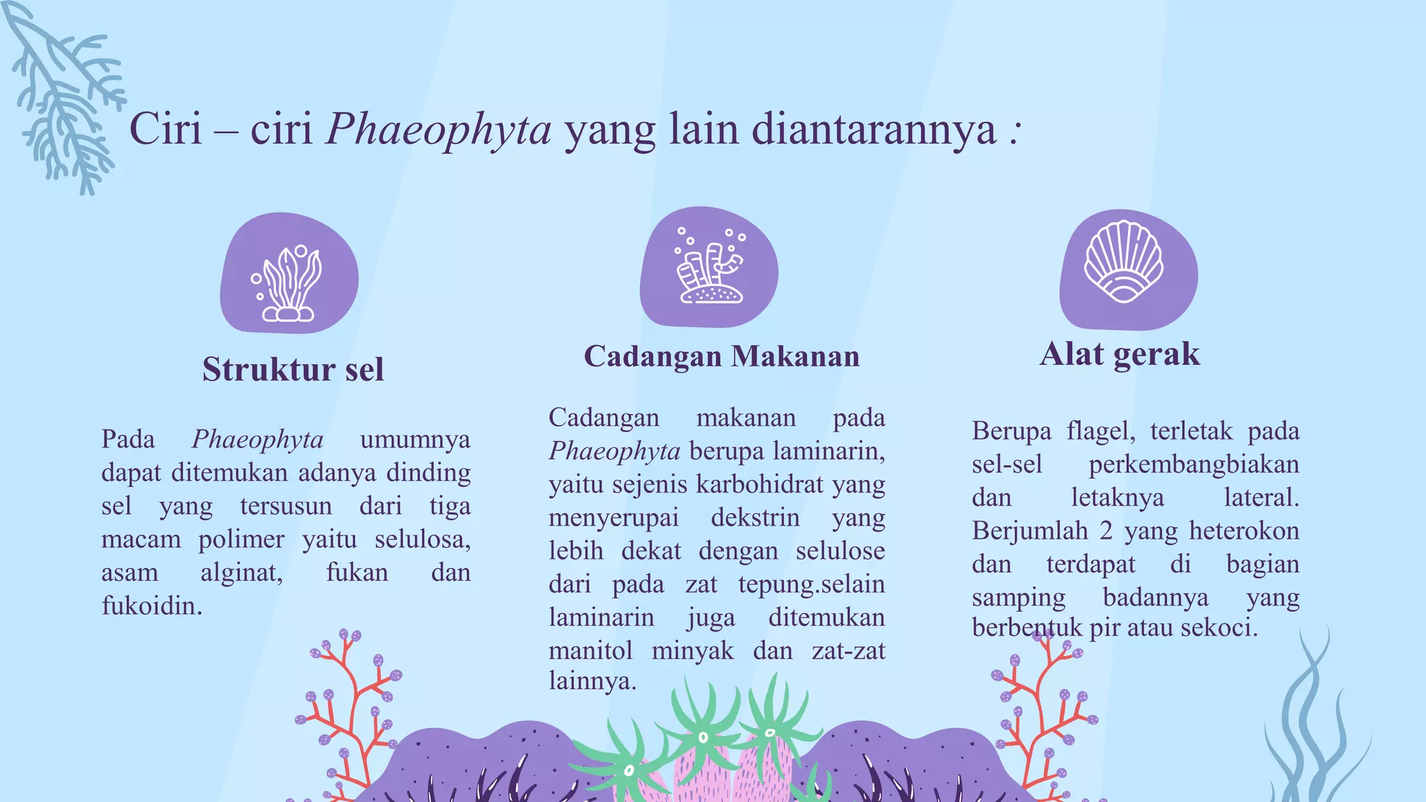 BAHAN OBAT KELAUTAN PHAEOPHYTA.pptx