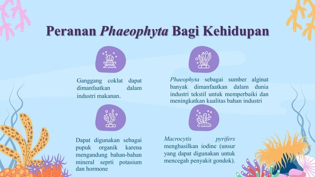 BAHAN OBAT KELAUTAN PHAEOPHYTA.pptx