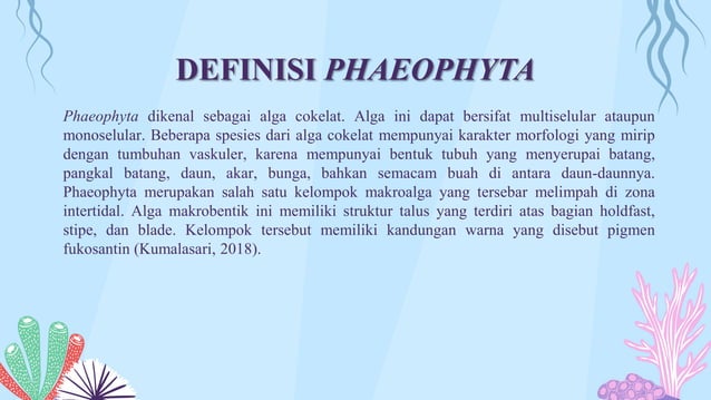 BAHAN OBAT KELAUTAN PHAEOPHYTA.pptx | Free Download