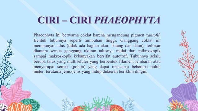 BAHAN OBAT KELAUTAN PHAEOPHYTA.pptx | Free Download