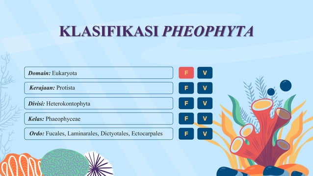 BAHAN OBAT KELAUTAN PHAEOPHYTA.pptx