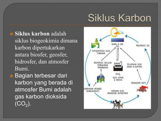 Bahan organik tanah dan siklus carbon mobilisasi unsur hara | PPTX