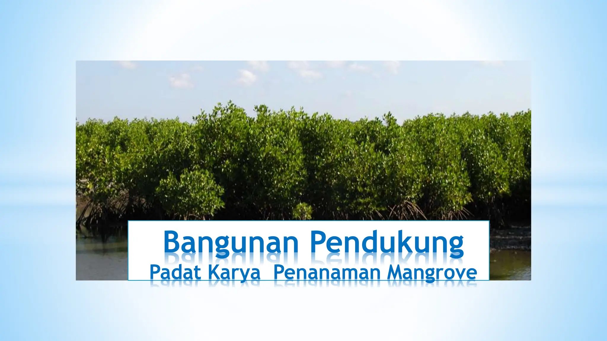 bahanpaparan-sosialisasi penanaman Mangrove.pptx