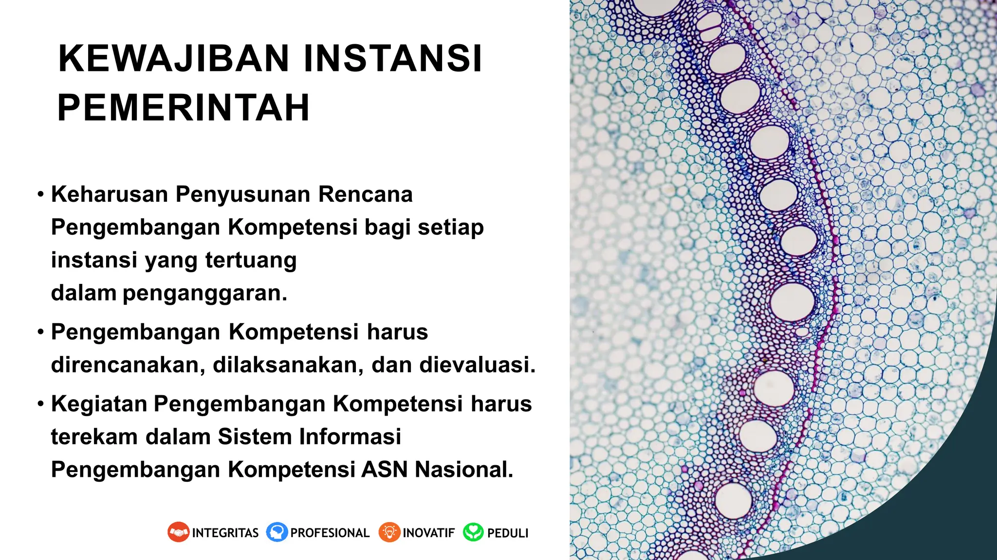 Bahan Paparan Analisis Kesenjangan Kompetensi | PDF