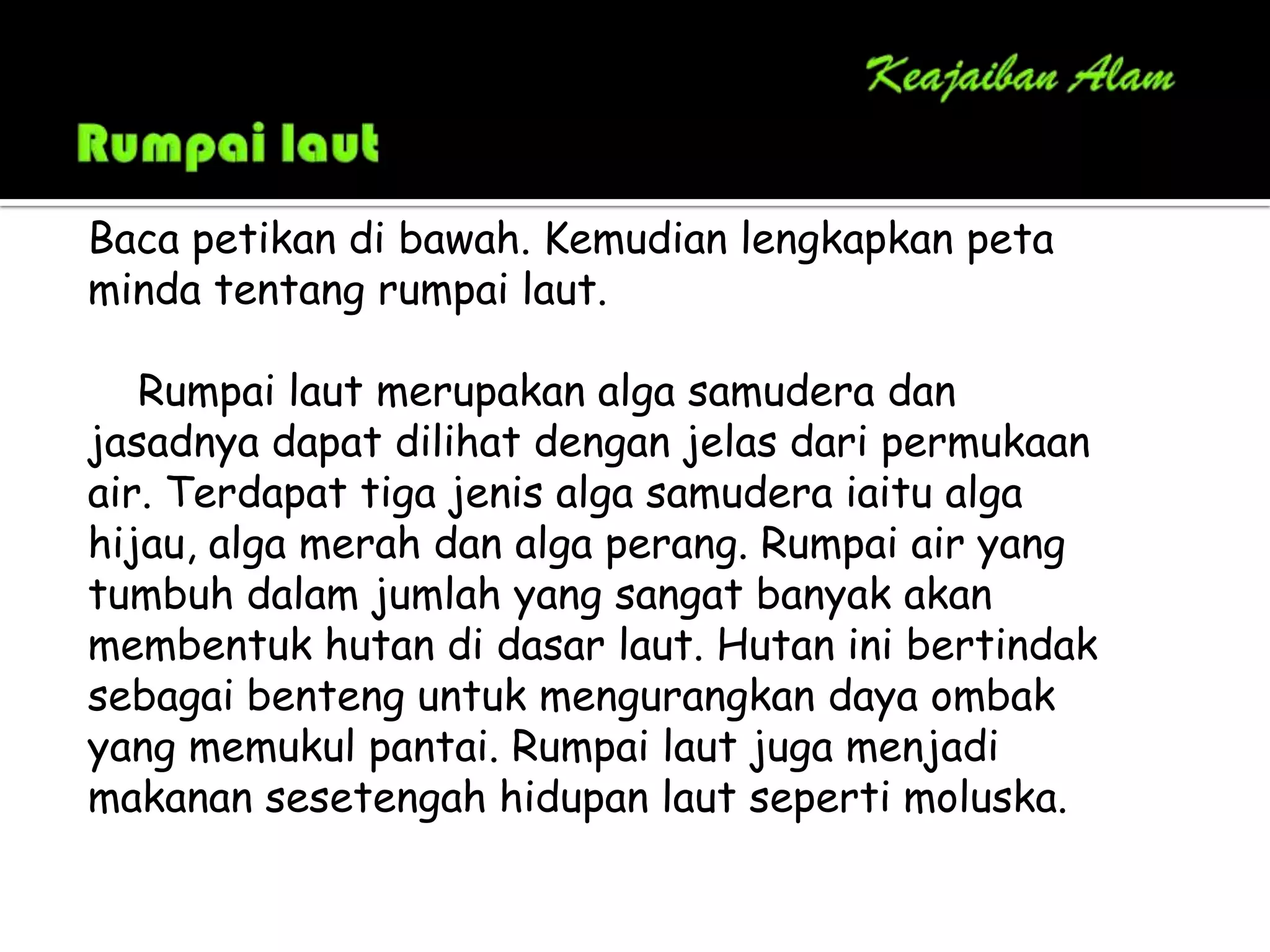 Bahan pengajaran 3 rumpai laut | PPTX
