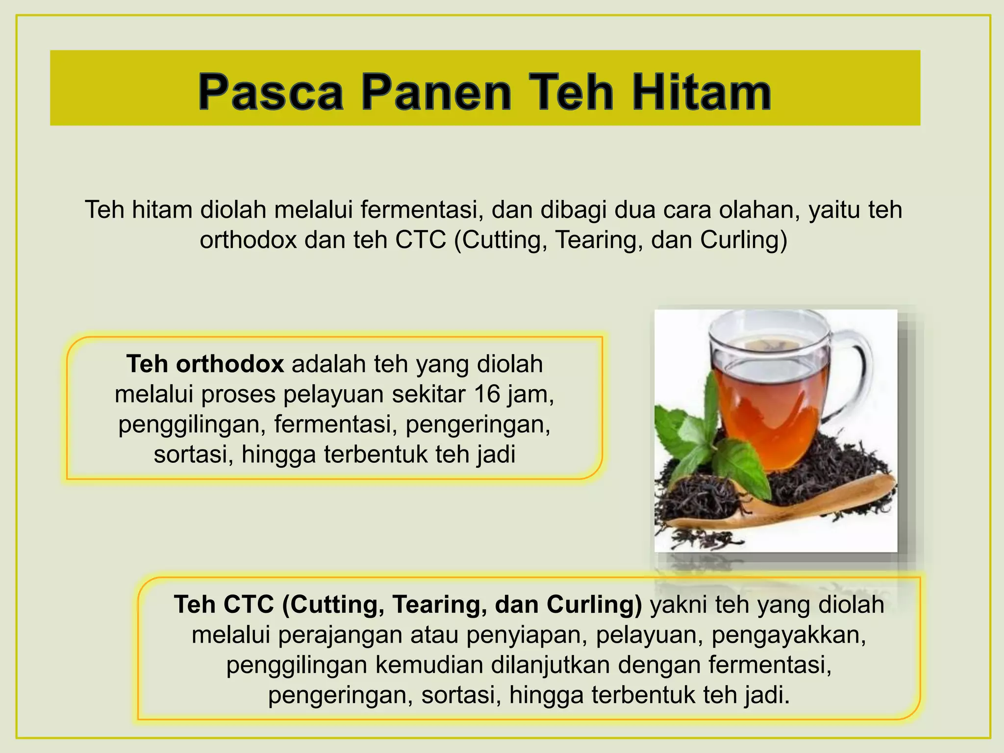 Bahan Penyegar Kopi, Teh, Kakao.pdf