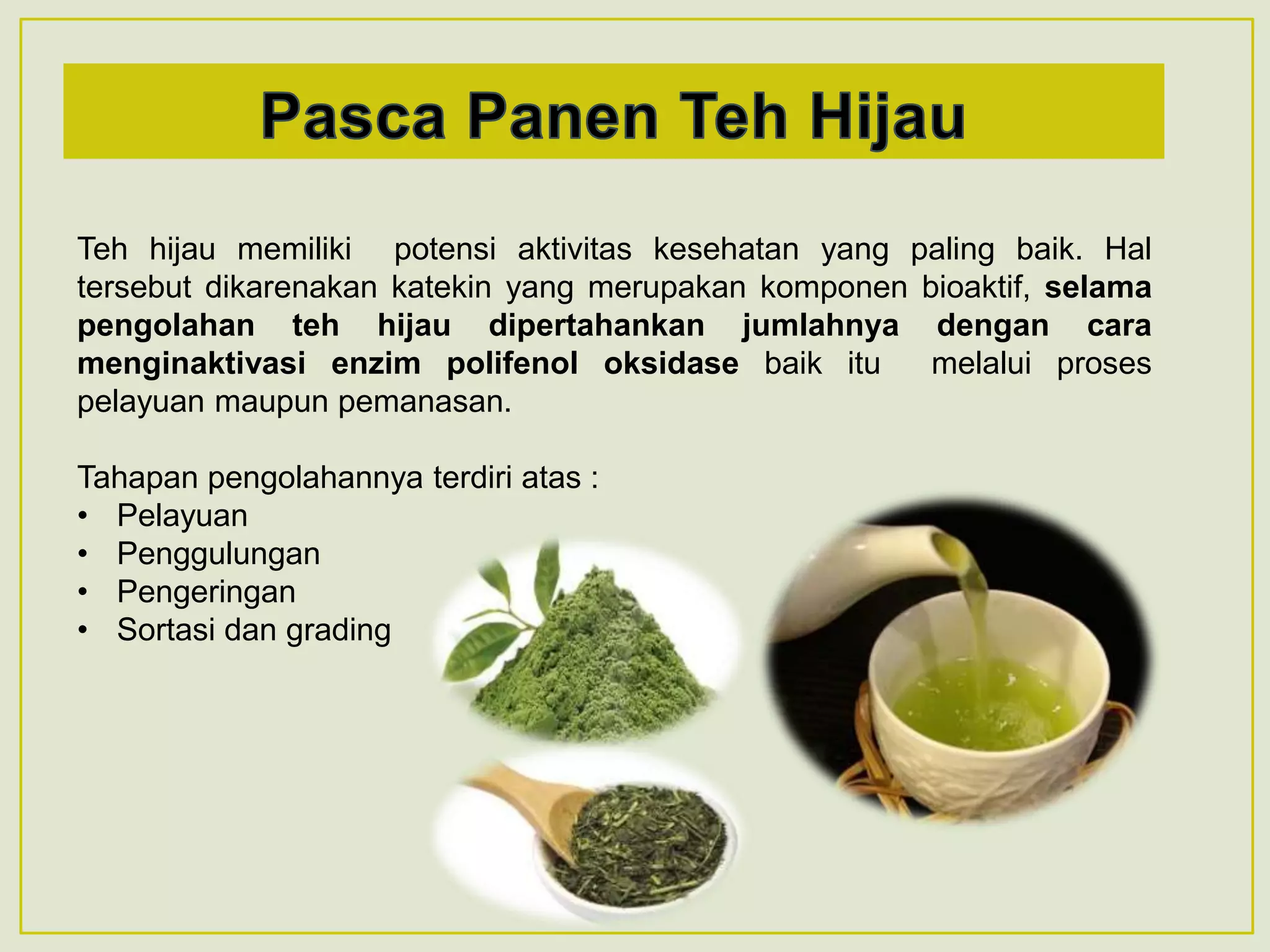 Bahan Penyegar Kopi, Teh, Kakao.pdf