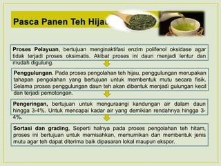 Bahan Penyegar Kopi, Teh, Kakao.pdf