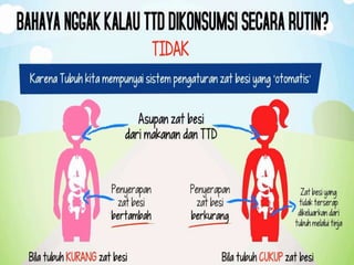 bahan penyuluhan TTD.pptx