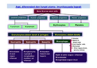 bahan ppt imunologi.pdf