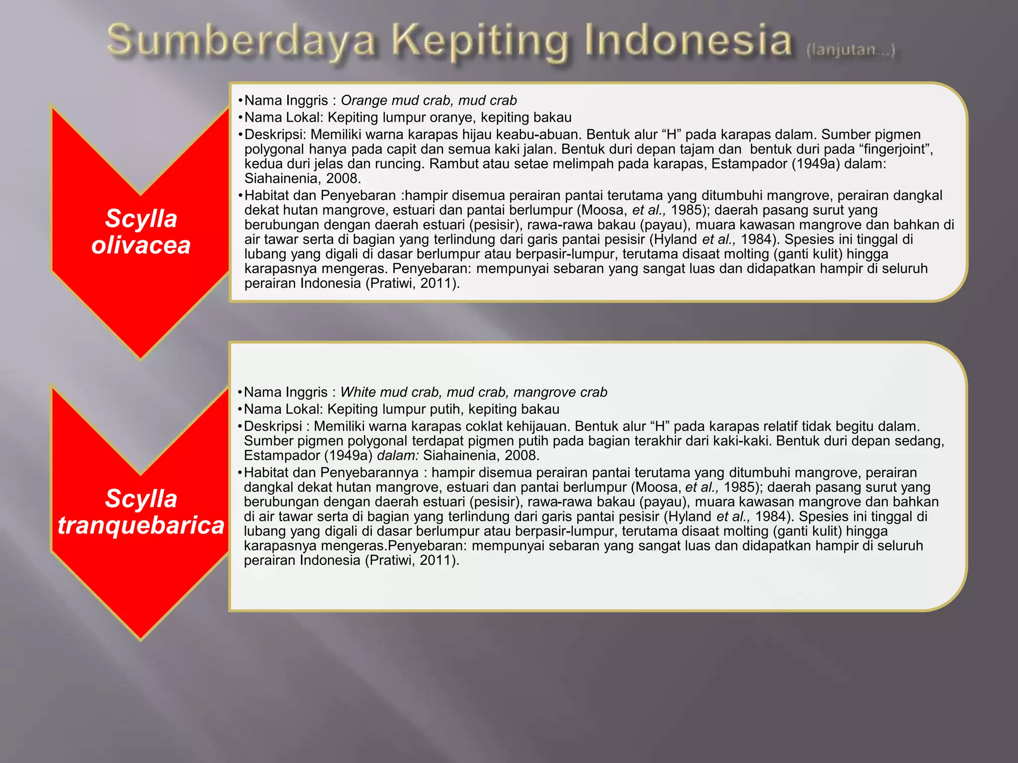 Sebaran dan Jenis Jenis Lobster dan Kepiting di Perairan Indonesia | PPTX