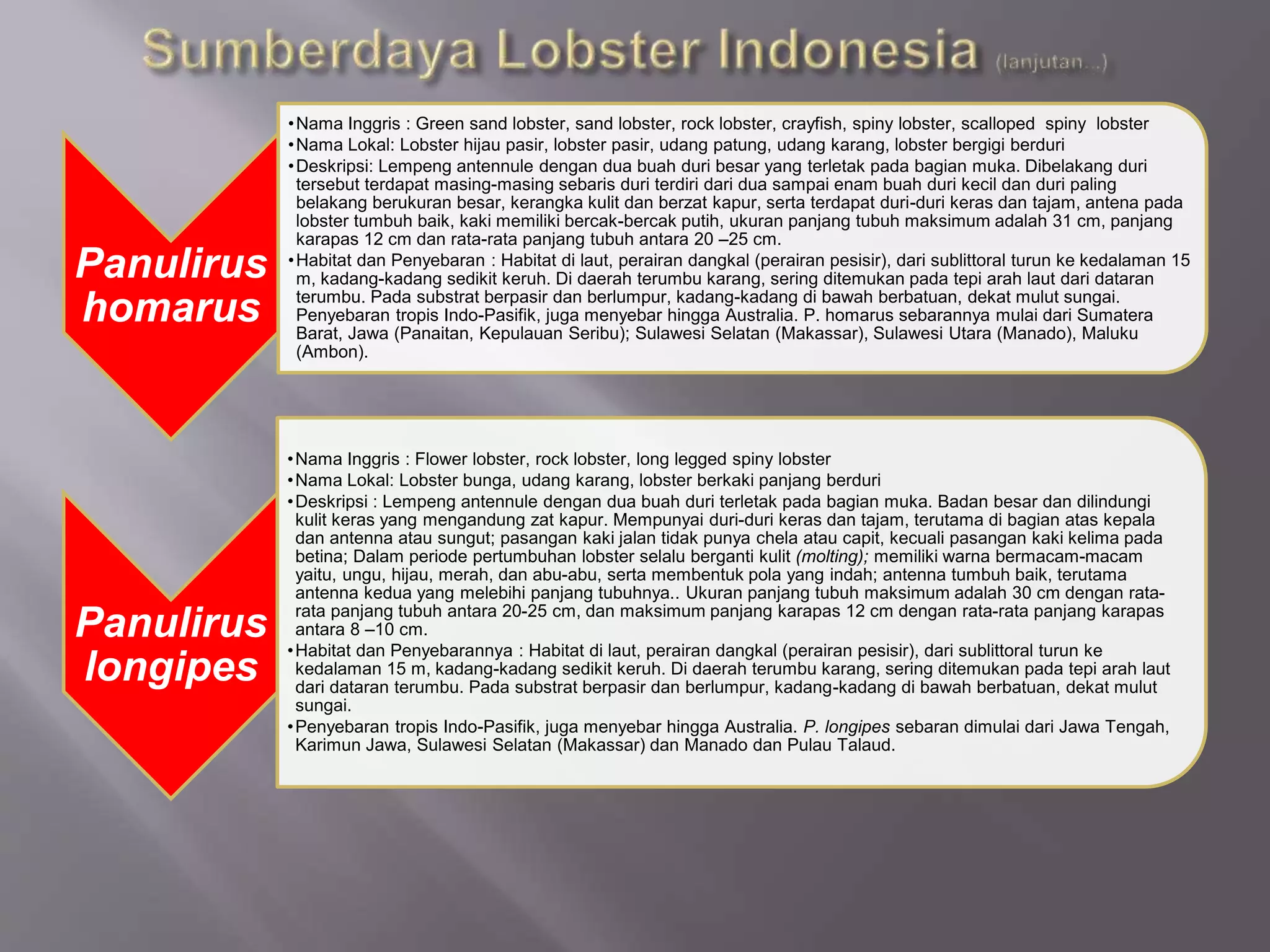 Sebaran dan Jenis Jenis Lobster dan Kepiting di Perairan Indonesia | PPTX