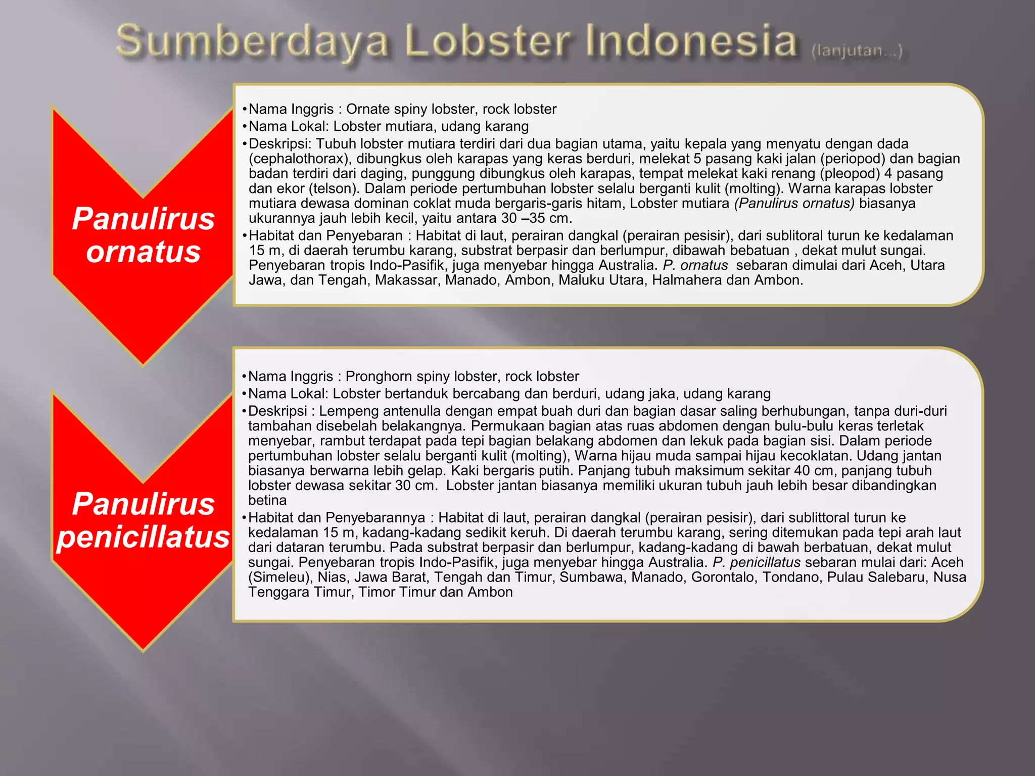 Sebaran dan Jenis Jenis Lobster dan Kepiting di Perairan Indonesia | PPTX
