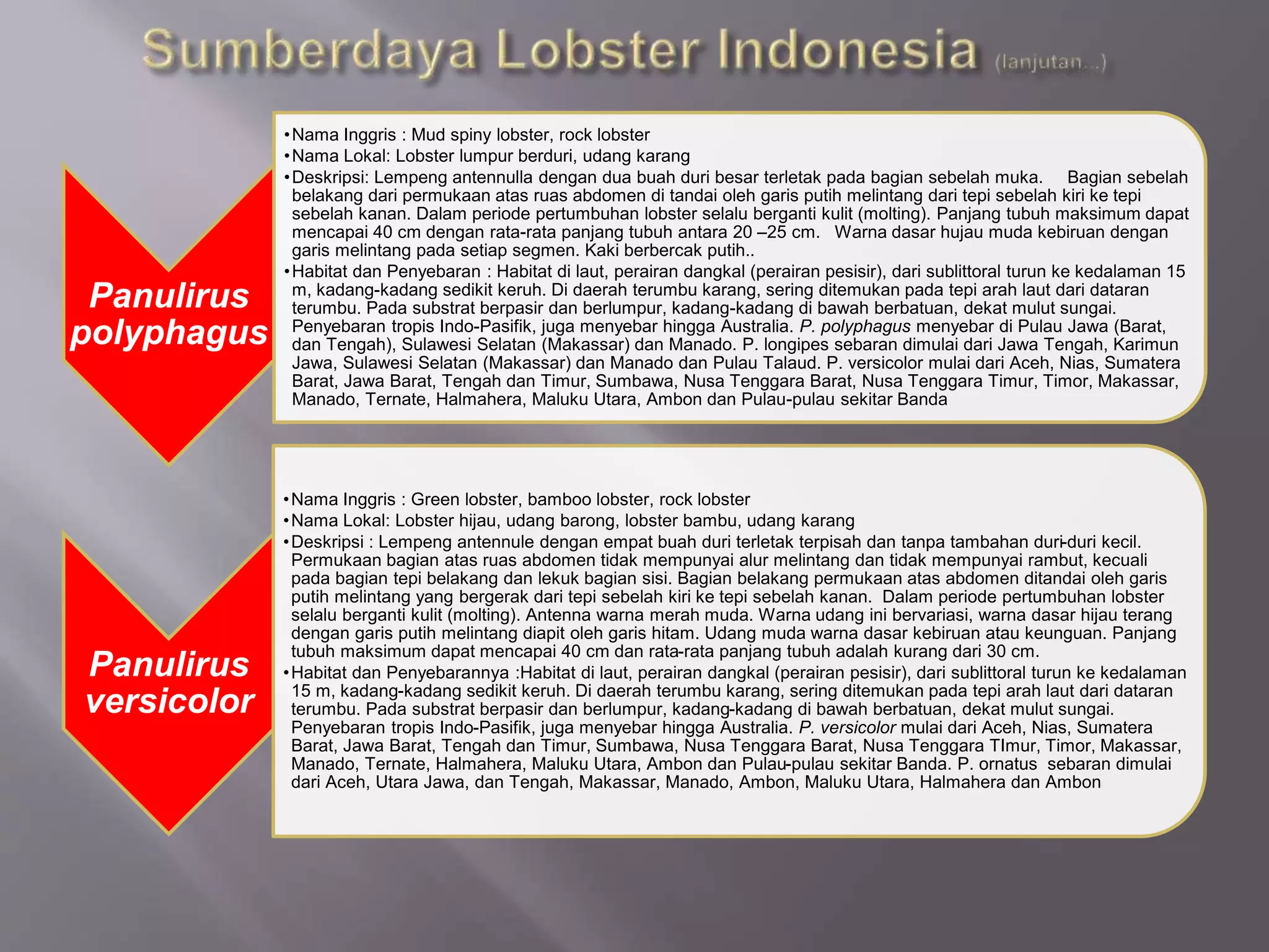Sebaran dan Jenis Jenis Lobster dan Kepiting di Perairan Indonesia | PPTX