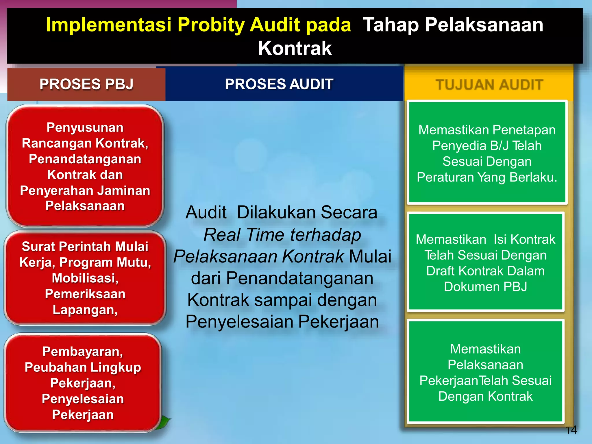 BAHAN PROBITY AUDIT.pdf