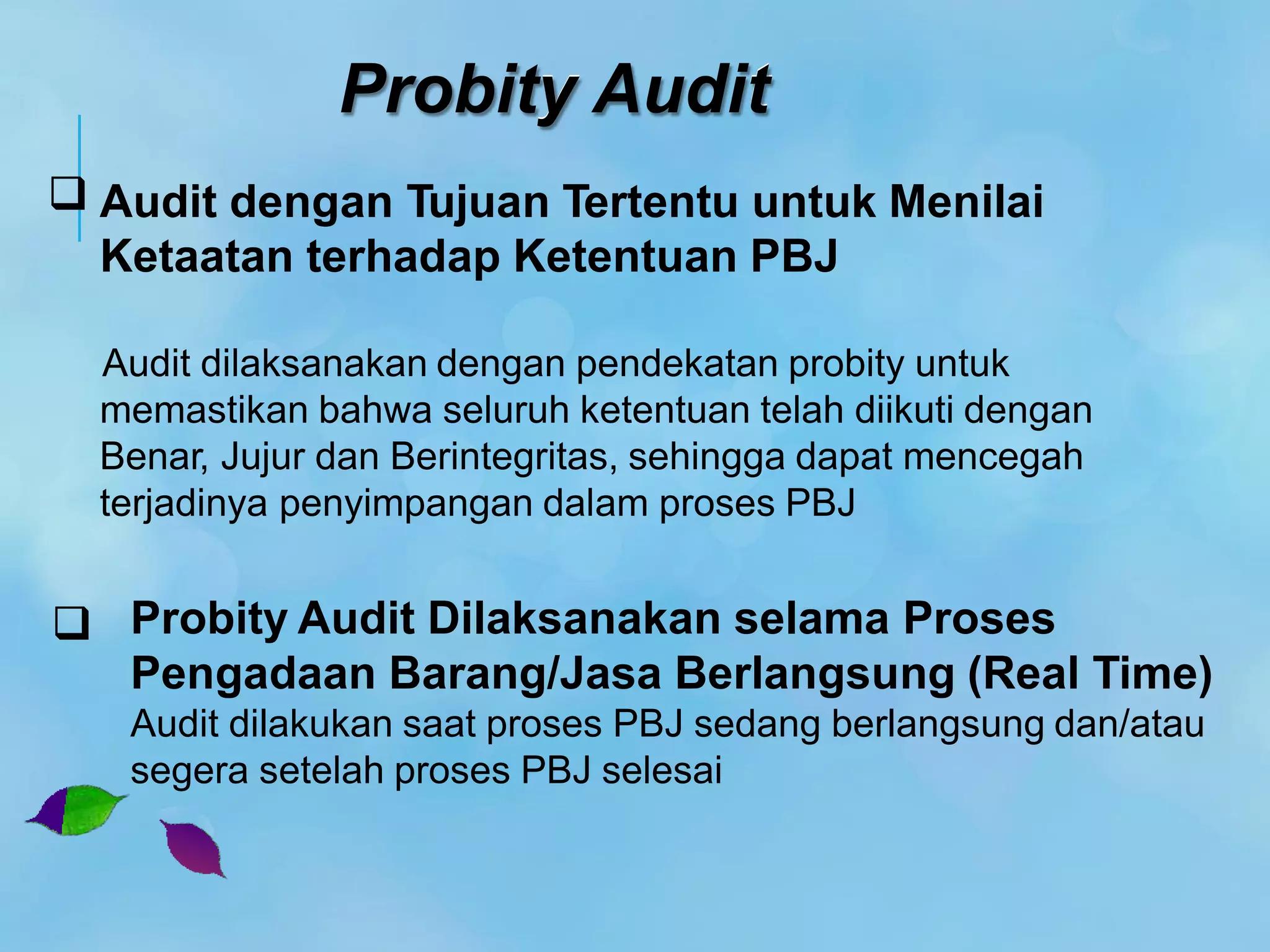 BAHAN PROBITY AUDIT.pdf