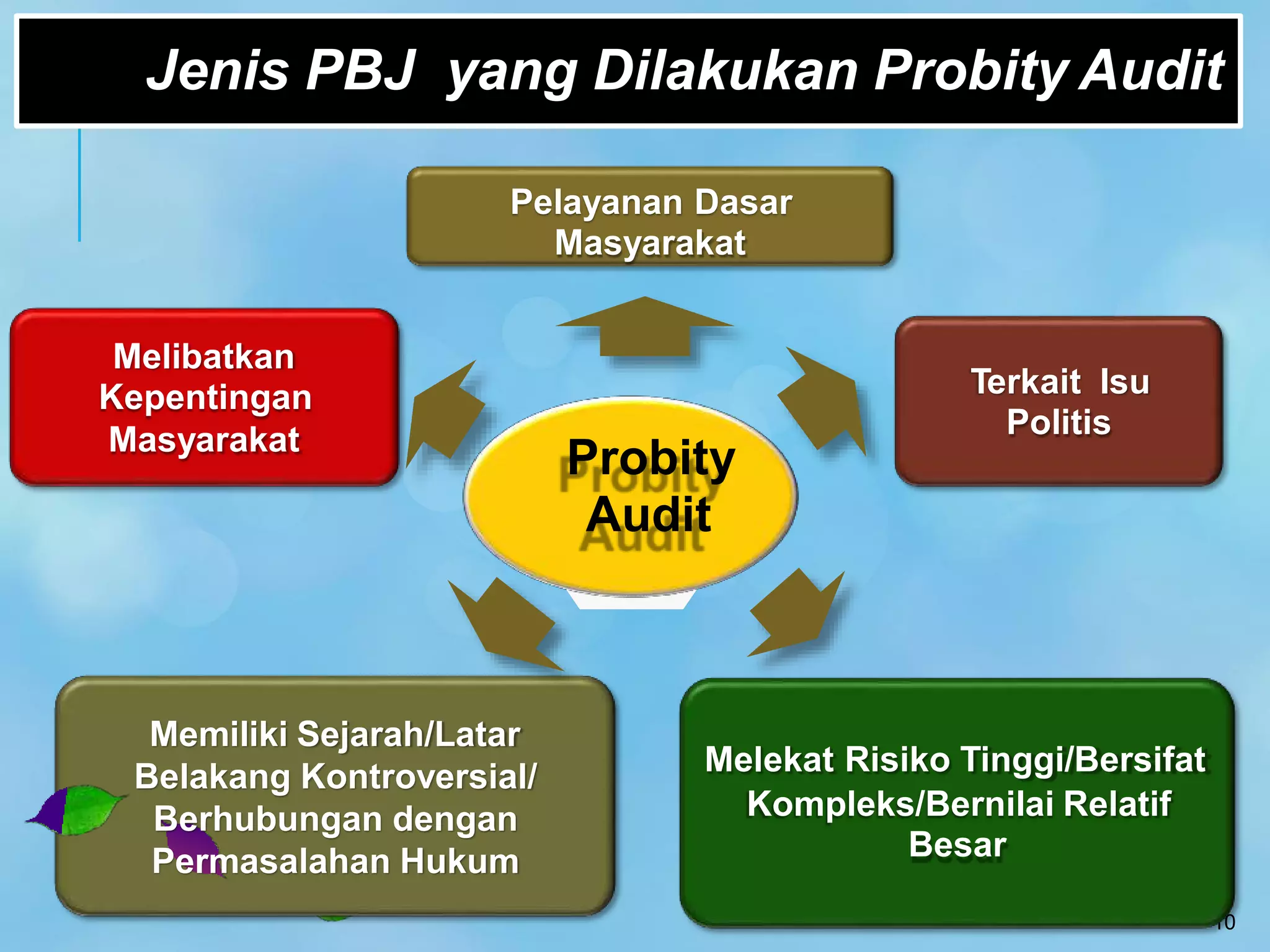 BAHAN PROBITY AUDIT.pdf