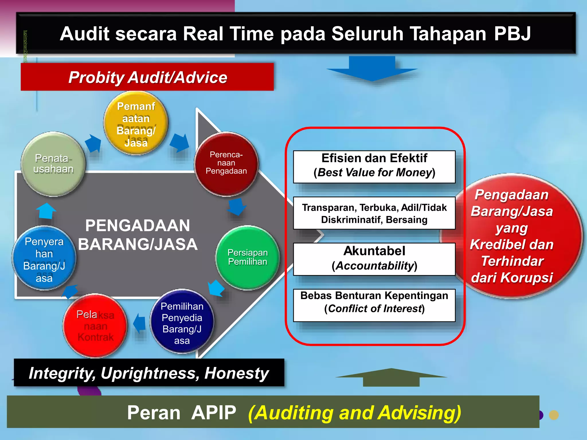 BAHAN PROBITY AUDIT.pdf