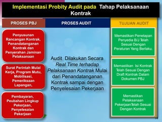 BAHAN PROBITY AUDIT.pdf