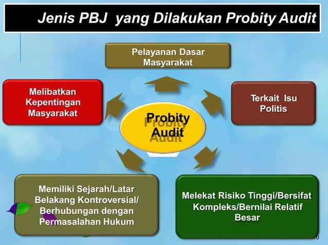 BAHAN PROBITY AUDIT.pdf