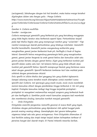 Bahan rhodophyta | DOCX
