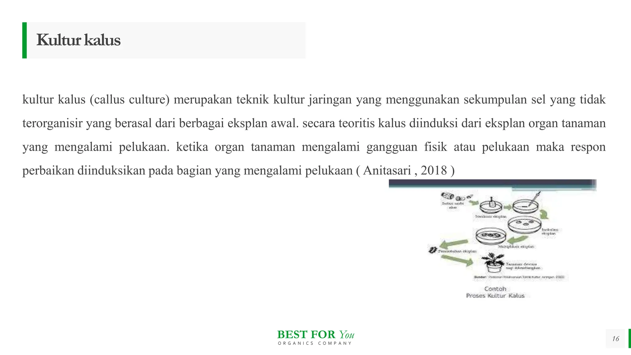 BAHAN TANAM budidaya tanaman pertanian ... | PPTX