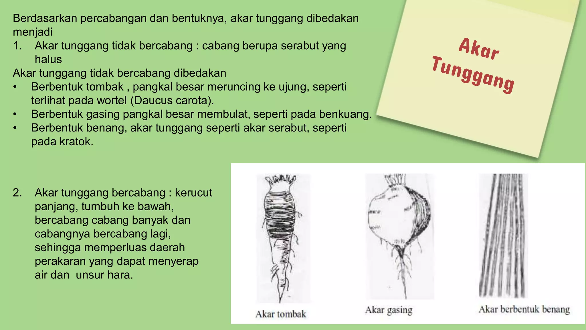 Bahan Tayang Materi AKAR - RRA.pdf