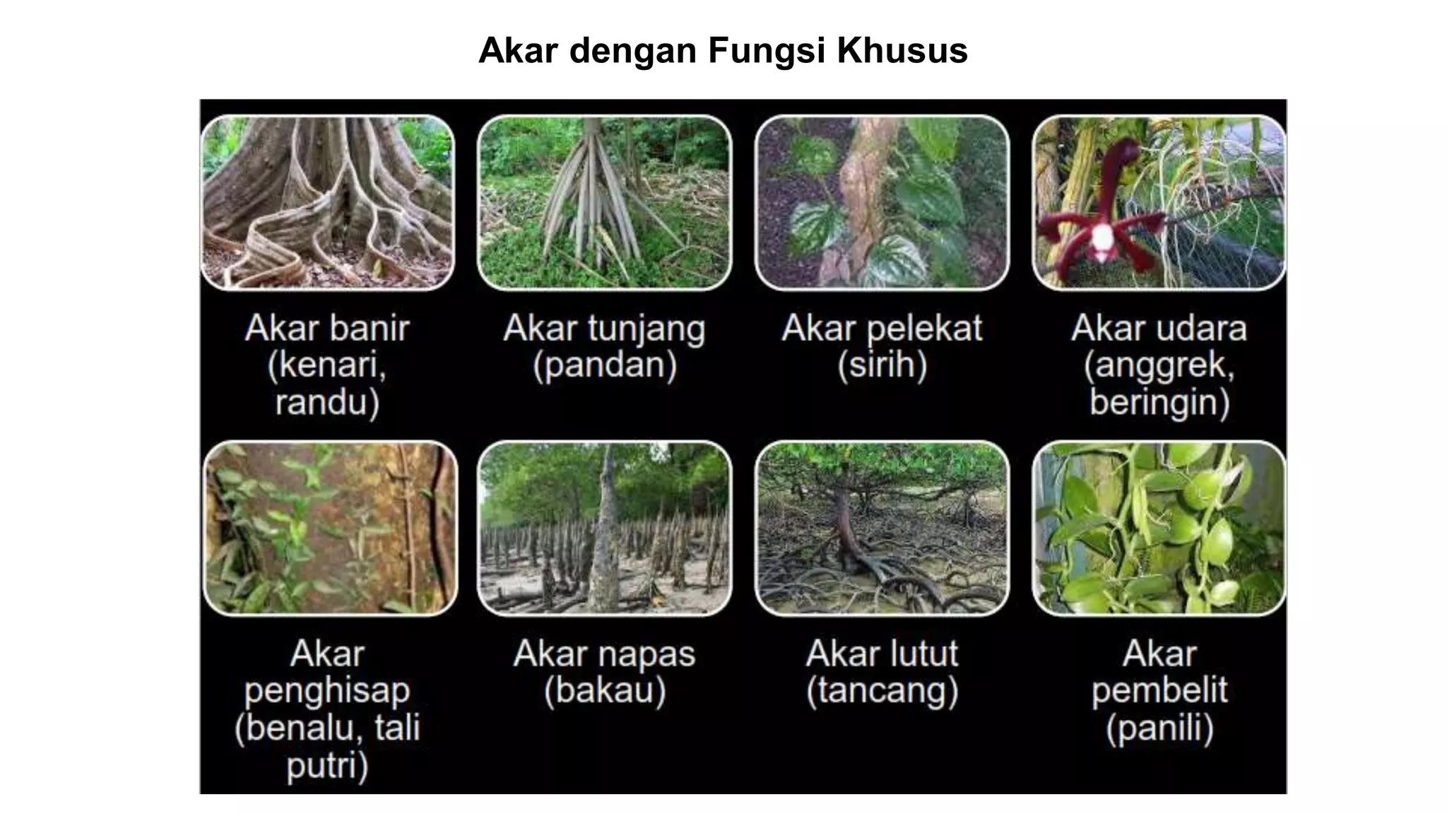 Bahan Tayang Materi AKAR - RRA.pdf