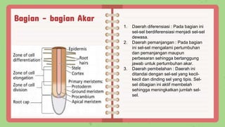 Bahan Tayang Materi AKAR - RRA.pdf