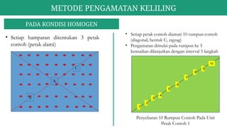 BAHAN TAYANG METODE PENGAMATAN & PELAPORAN OPT PANGAN.pptx