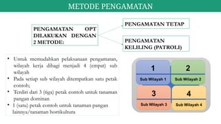 BAHAN TAYANG METODE PENGAMATAN & PELAPORAN OPT PANGAN.pptx