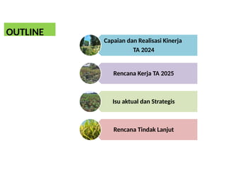 Bahan Tayang Rakor PSITP 2025 LPSI Aneka Umbi.pptx