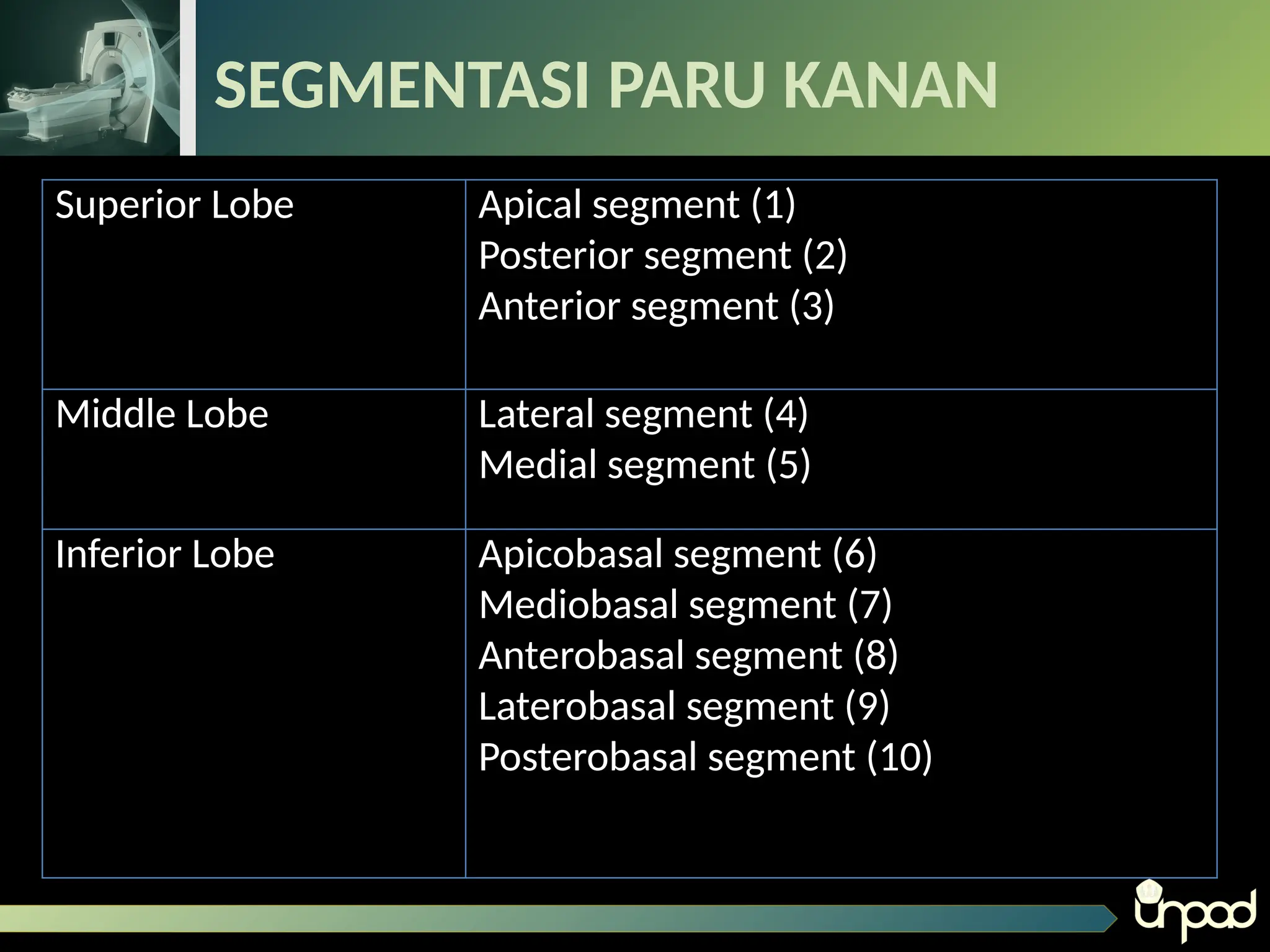 Bahan Thorax Normal untuk radiologi pptx | PPTX