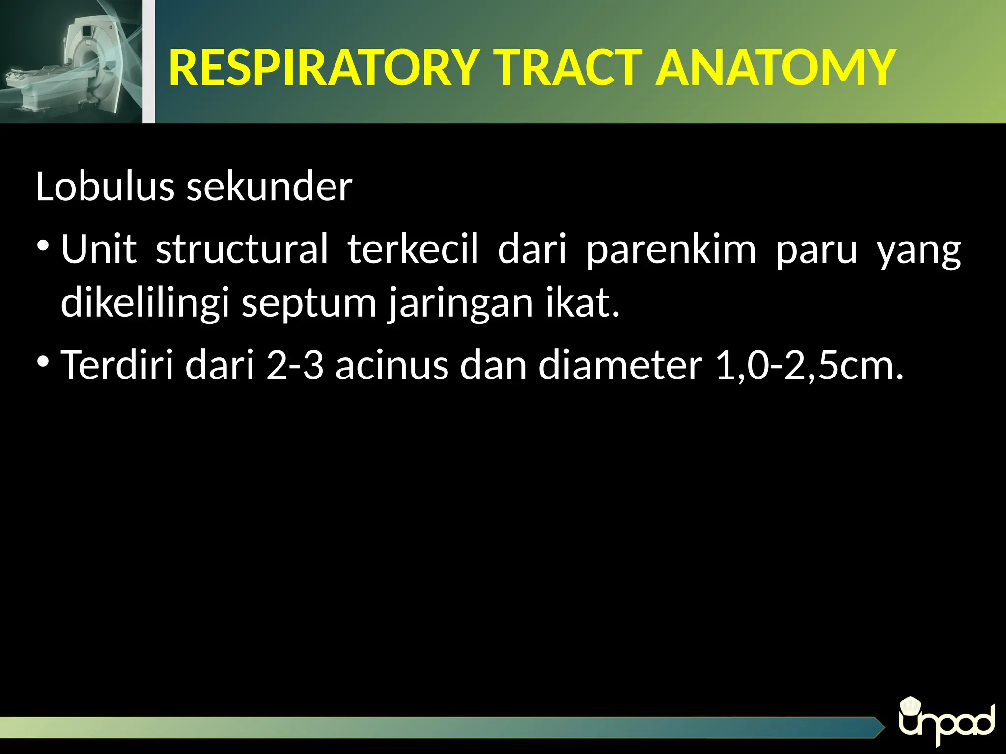 Bahan Thorax Normal untuk radiologi pptx | PPTX