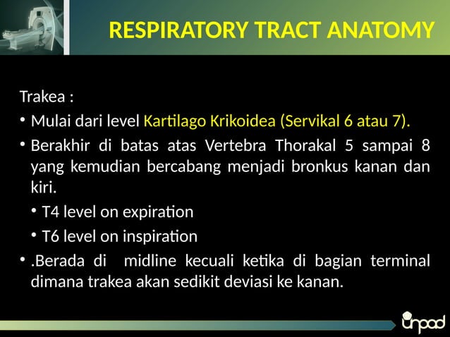 Bahan Thorax Normal untuk radiologi pptx | PPTX