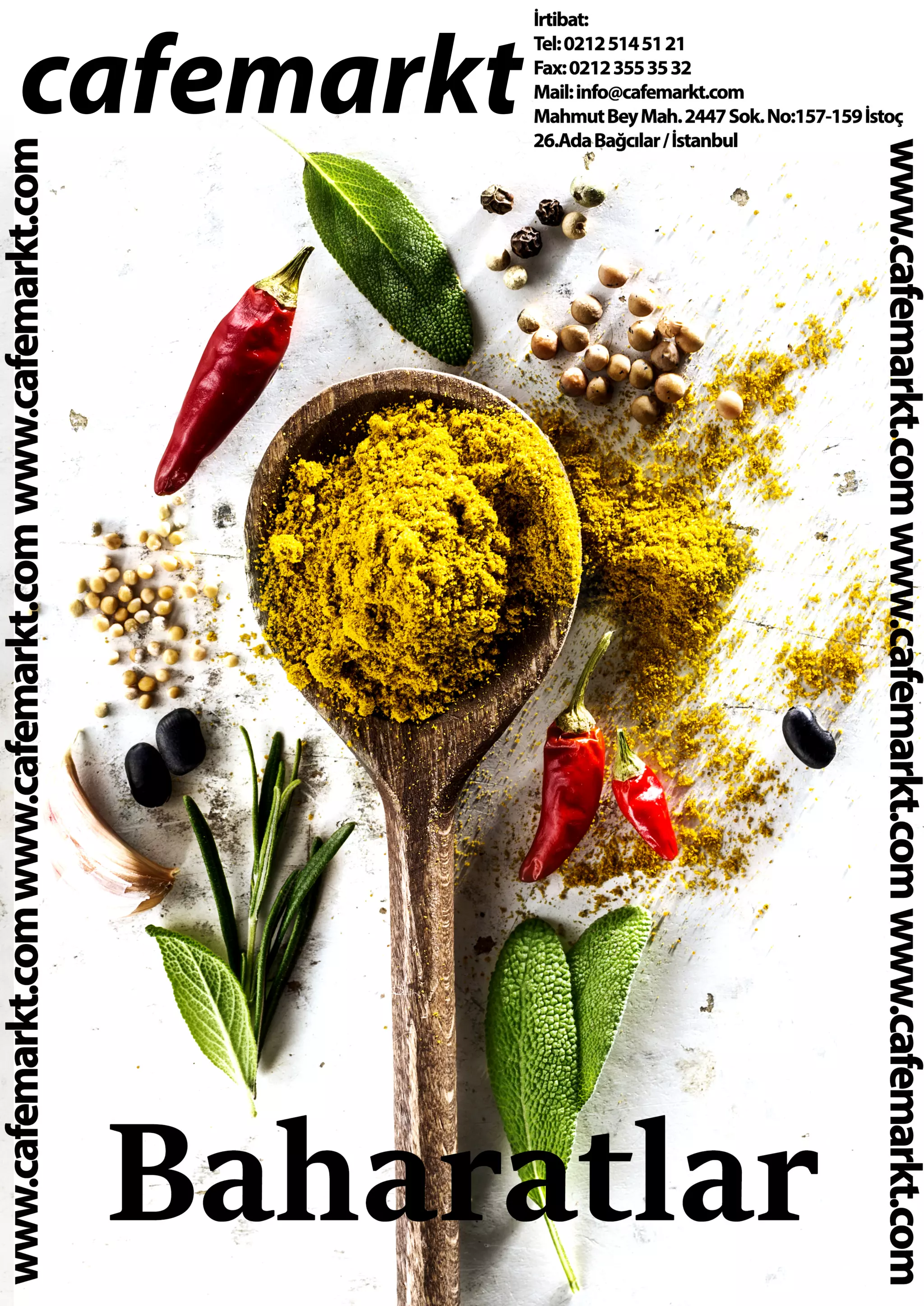 Baharatlar ve Tuzlar | PDF