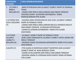 Bahasa melayu stpm penggal 1 | PPTX