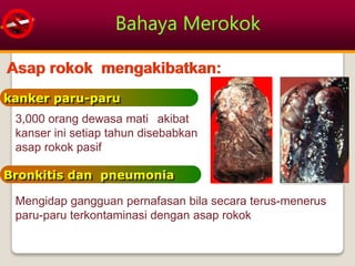 bahaya-merokok-bagi-remaja.ppt