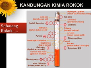 Bahaya merokok | PPT