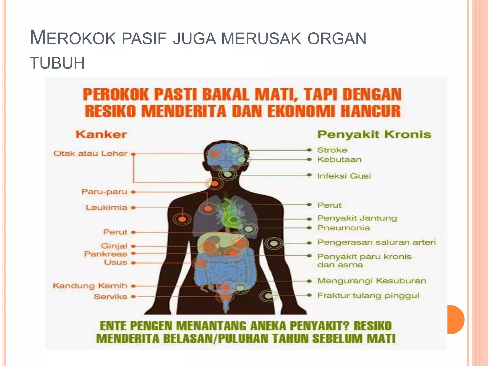 BAHAYA MEROKOK.pptx