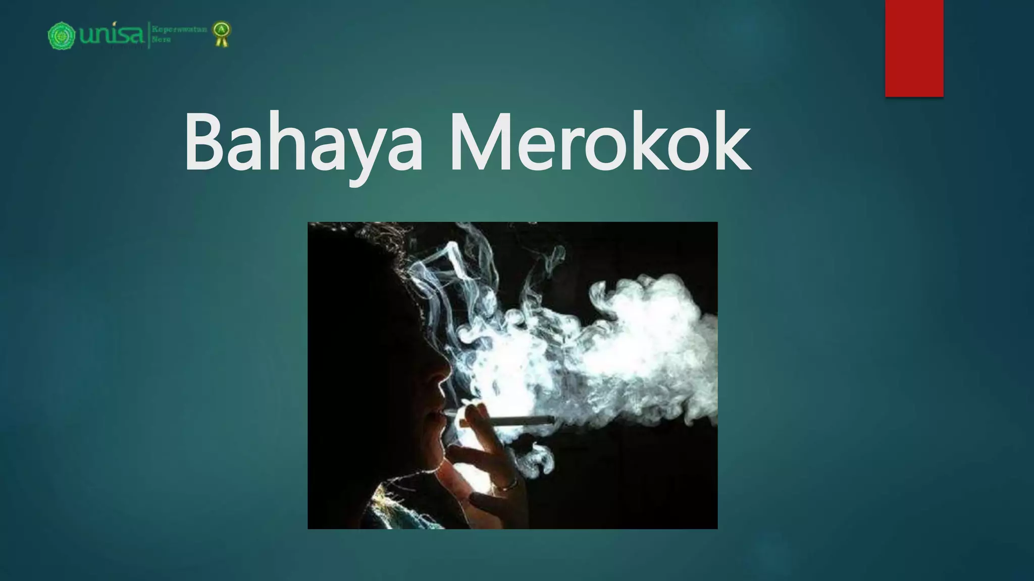 Bahaya Merokok | PPT