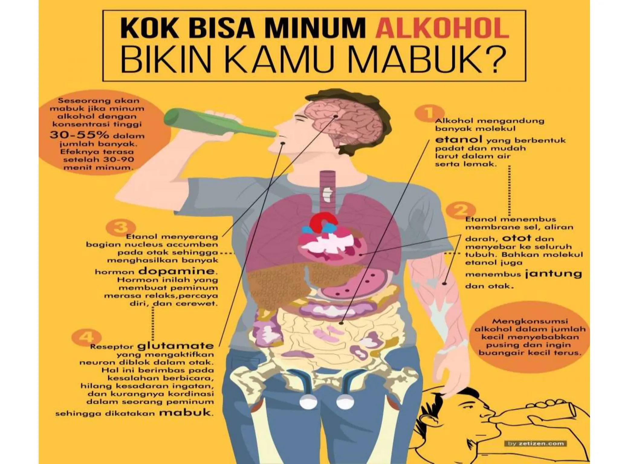 BAHAYA MINUMAN KERAS BAGI KESEHATAN.pptx. | PPTX