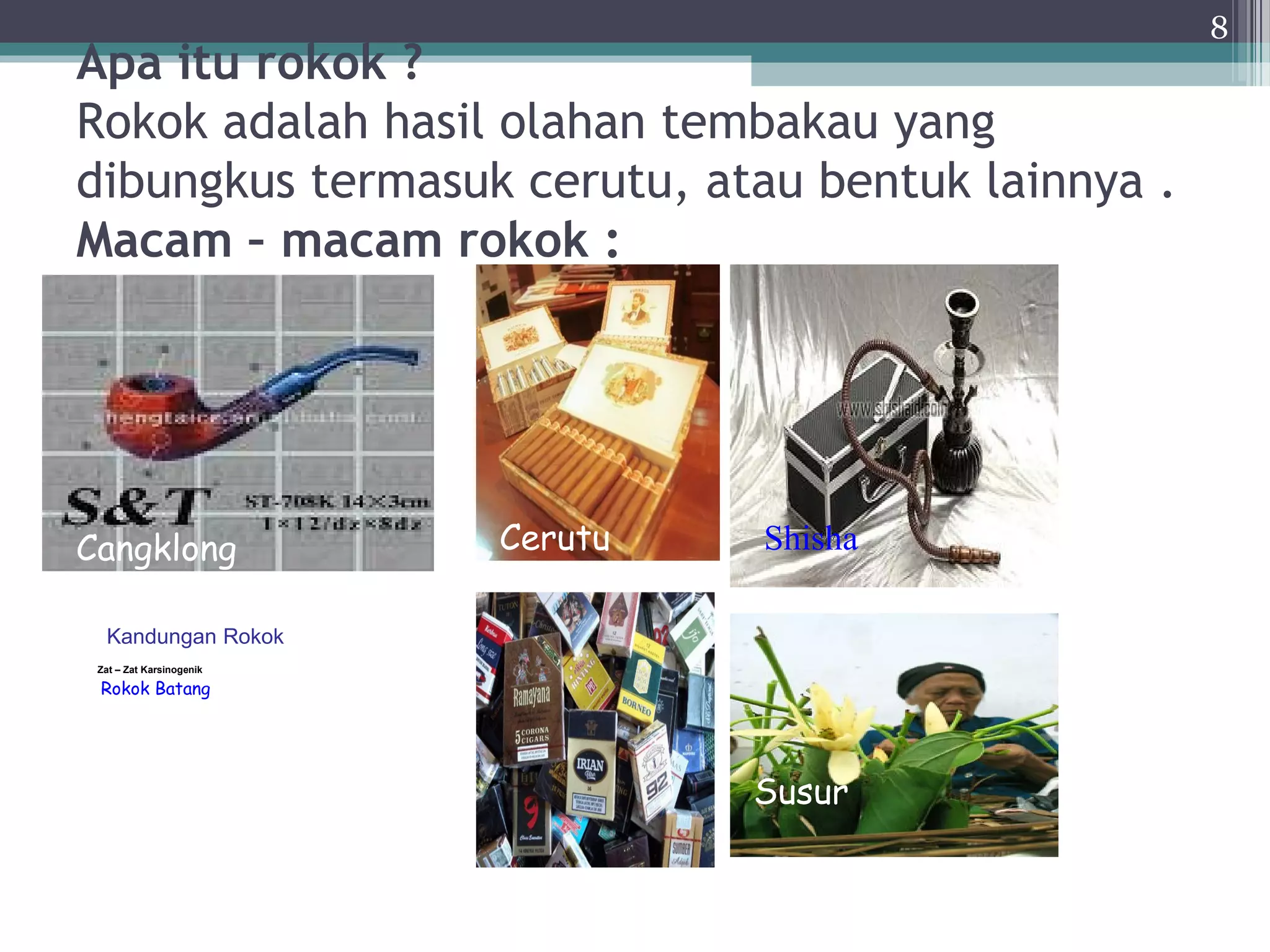 Bahaya Rokok Terhadap Kesehatan | PPT