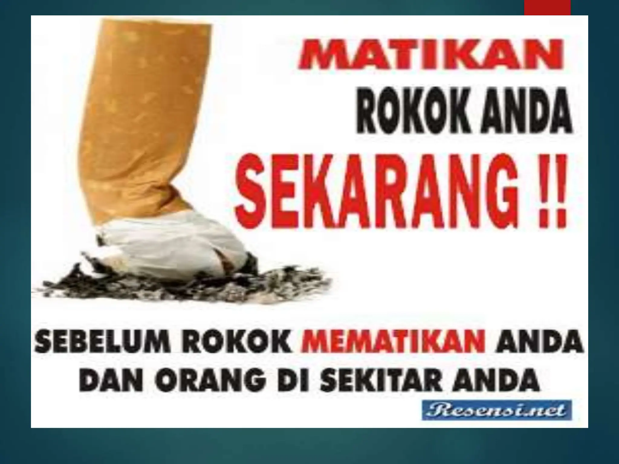 Bahaya Rokok bagi kesehatan tubuh dan.ppt