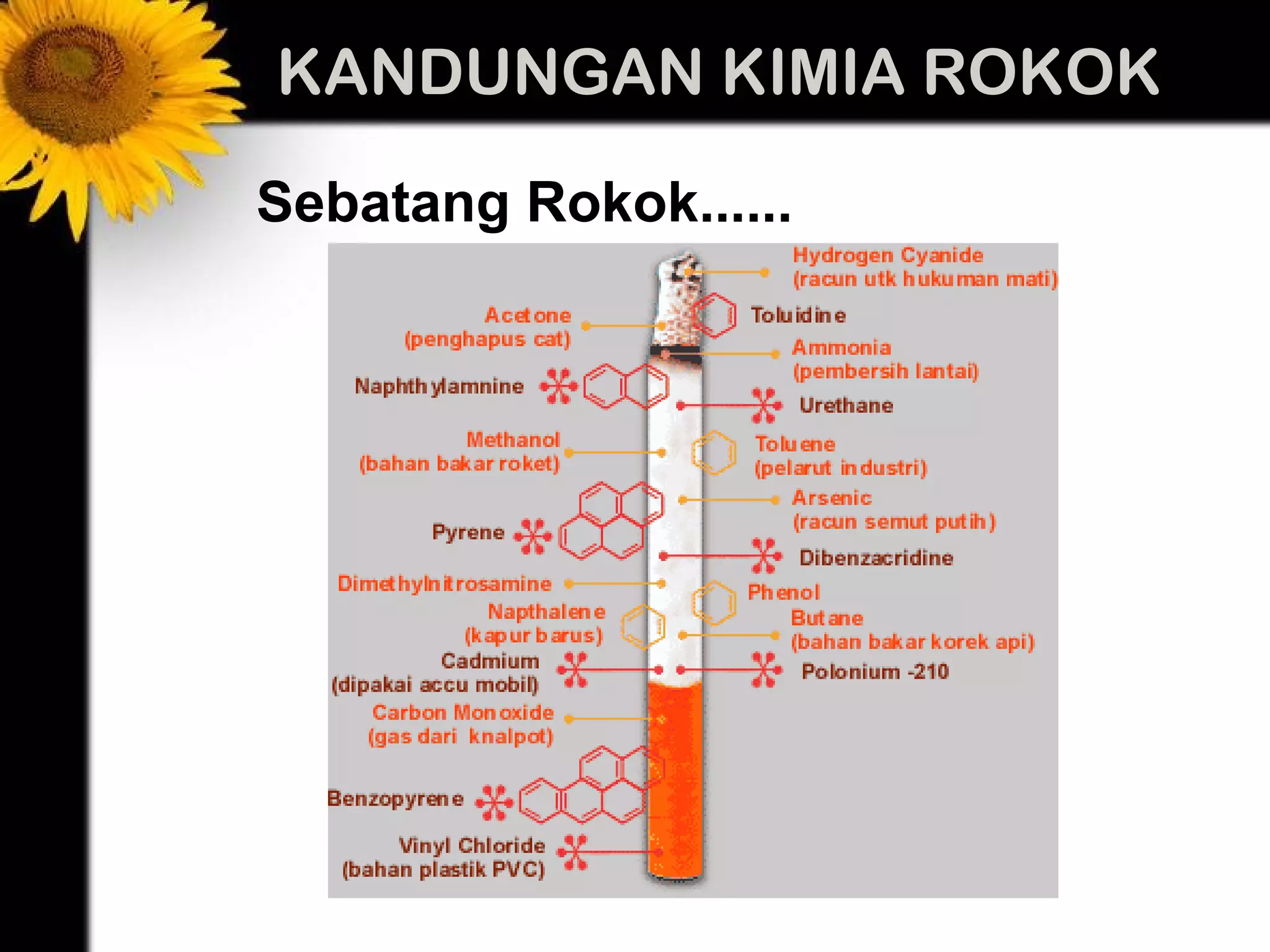 Bahaya rokok bagi remaja | PPT
