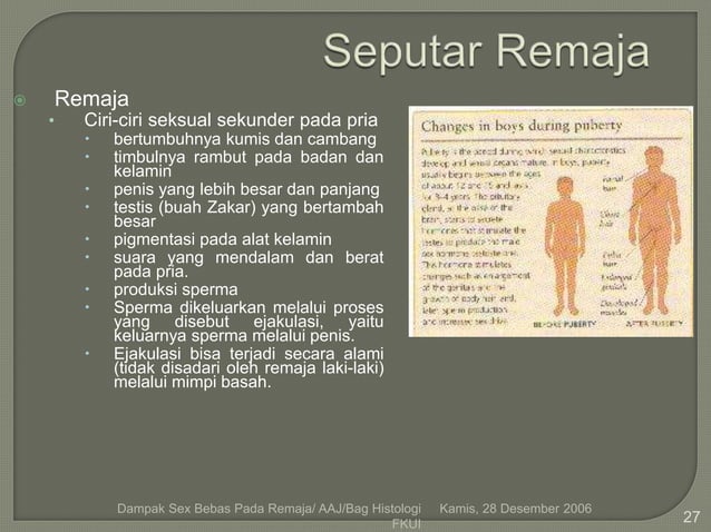 Bahaya sex bebas pada remaja | PPTX