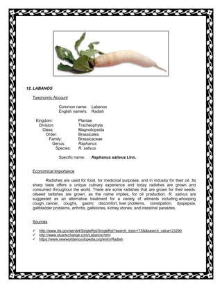 Taxonomy of "Bahay Kubo" plants | DOCX